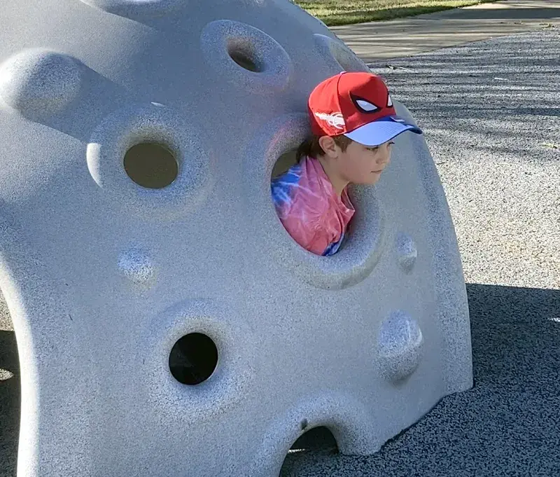 Peekaboo | The Sun-Sentinel